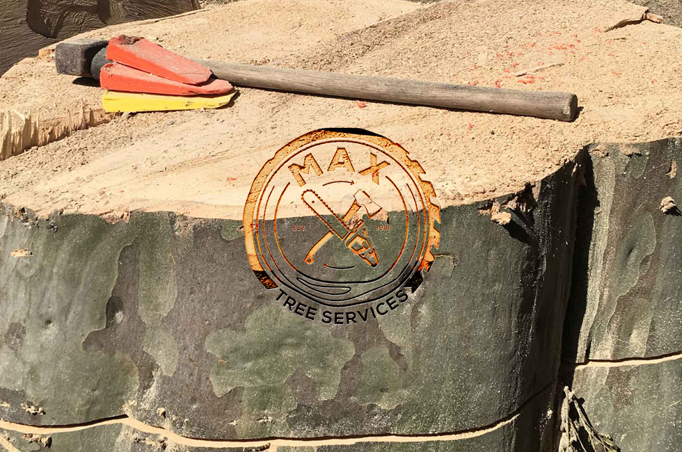 Max Tree Services | Platinum Website Design