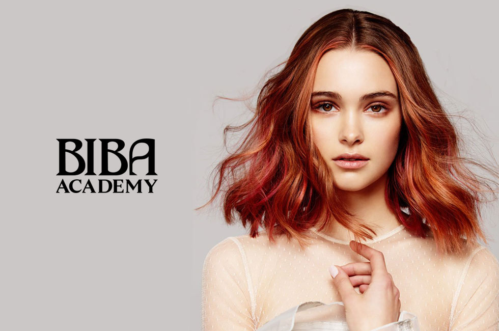 Biba Academy Portfolio | Platinum Website Design